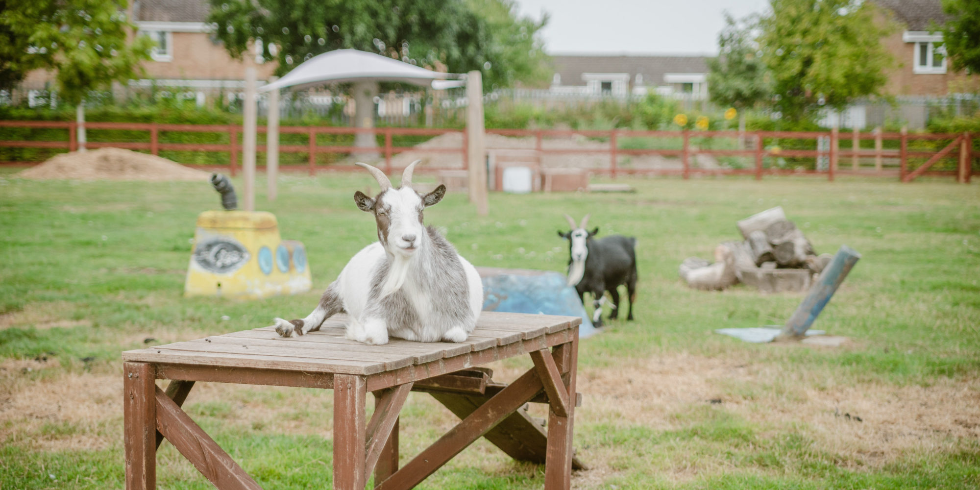 SEN Classrooms at Weatherfield Academy | Vertis Buildings